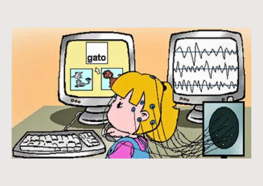 Rede Synapse - Rede Synapse