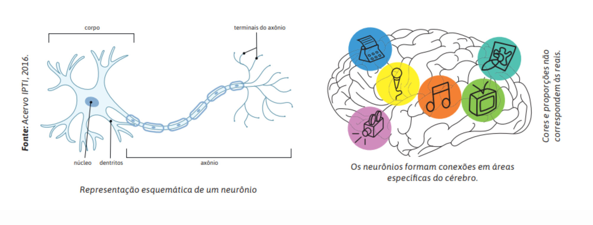 Os fundamentos teóricos da Metodologia Synapse: Neurociência e Aprendizagem - Aprendendo sobre a ...